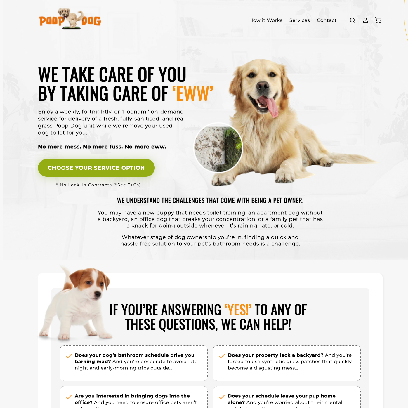 Poop Dog - Grow Your Business with Savvy Copy